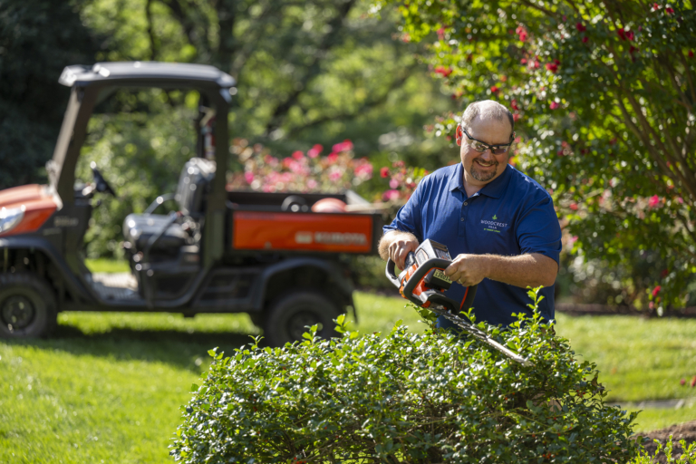 Careers - Tandem Living